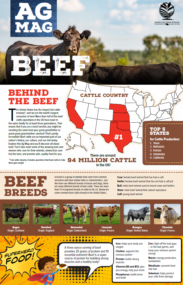 2025 Beef Ag Mag – American Farm Bureau Foundation for Agriculture Store